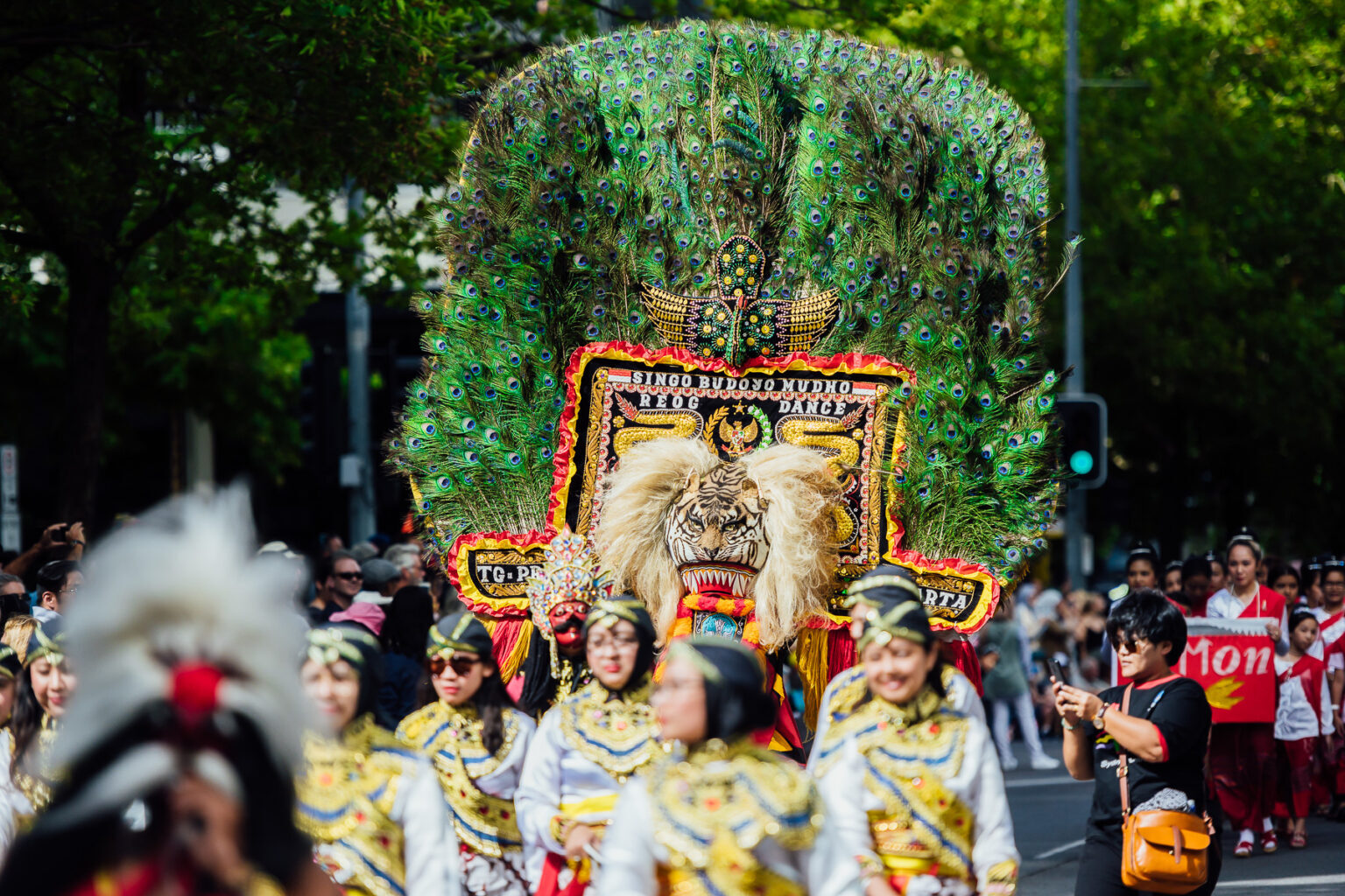 Watch the iconic festival parade - National Multicultural Festival